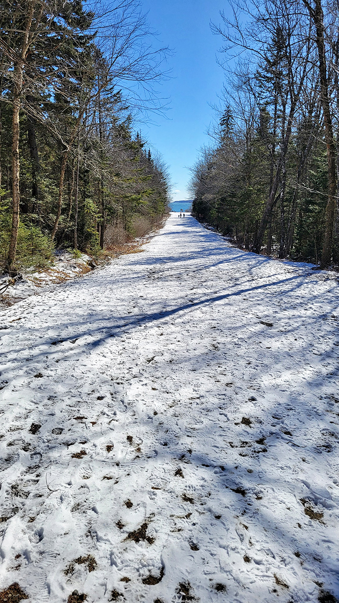 Winter wonderland or set of "Frozen 3"? This snowy scene proves that Birch Point's magic doesn't melt away when the temperature drops.
