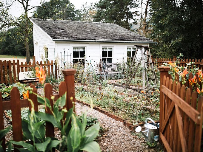 Garden goals! This little patch of green is giving serious "Secret Garden" vibes, minus the need for a magical key.