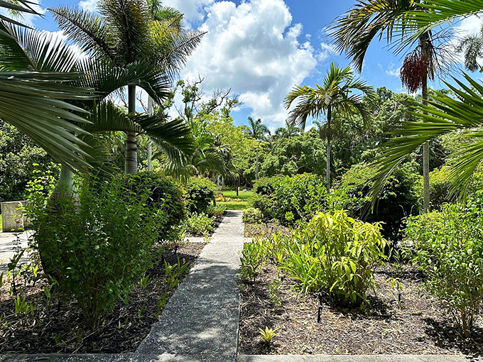 Tropical paradise or circus magnate's backyard? Why not both? This garden path leads straight to Exotic Plant Heaven.