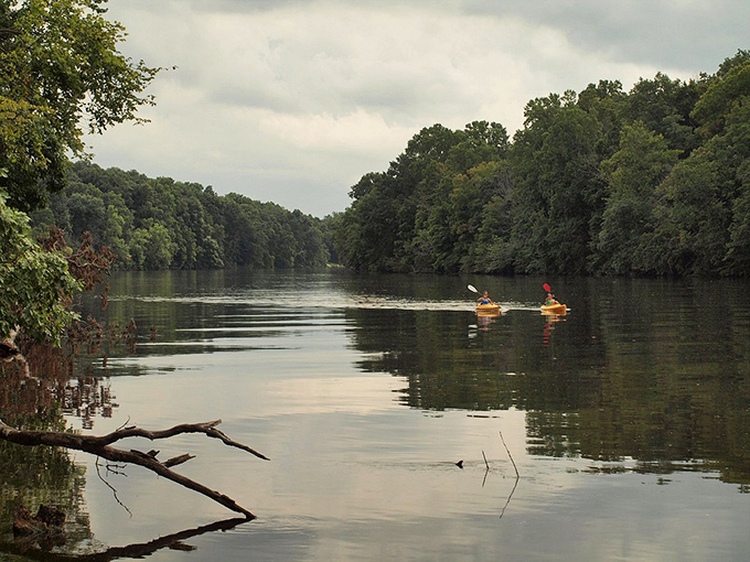 Paddle your way to serenity! The St. Joseph River offers a front-row seat to nature's own IMAX experience, no 3D glasses required.