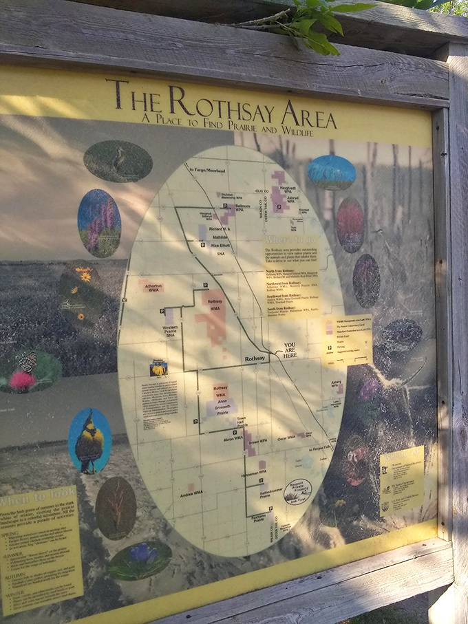 X marks the spot: A map to guide you through chicken country. Who needs treasure when you've got poultry this grand?
