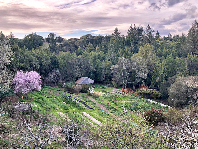 The Occidental Arts & Ecology Center: Where Mother Nature and human creativity collide in a beautiful, sustainable dance.
