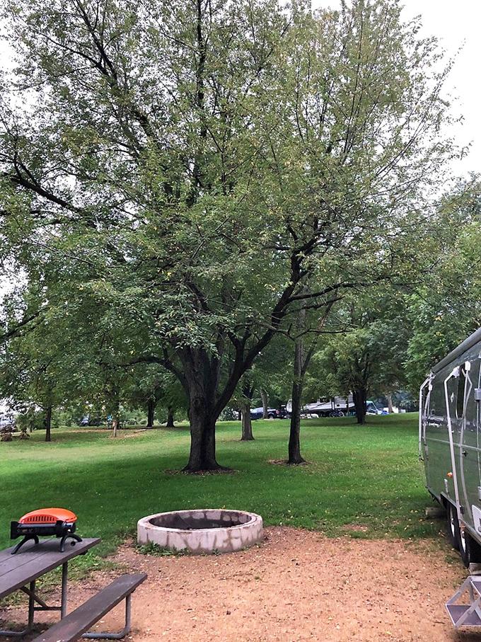 Campfire conversations and marshmallow roasts await. This fire pit's seen more stories than a librarian on overtime.