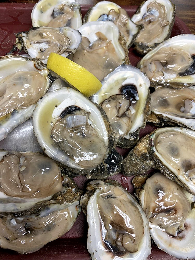 Oysters on the half shell: Nature's perfect appetizer. They're like little cups of sea-salty goodness, just waiting for a squeeze of lemon.