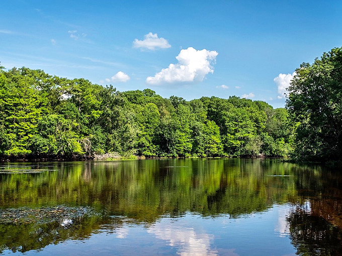 Mother Nature's mirror! This serene lake view reflects Florida's beauty so perfectly, you'll wonder which way is up.