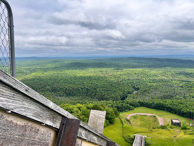 It's like God's own jigsaw puzzle up here. Miles of green, a splash of blue, and one very impressive man-made diving board.
