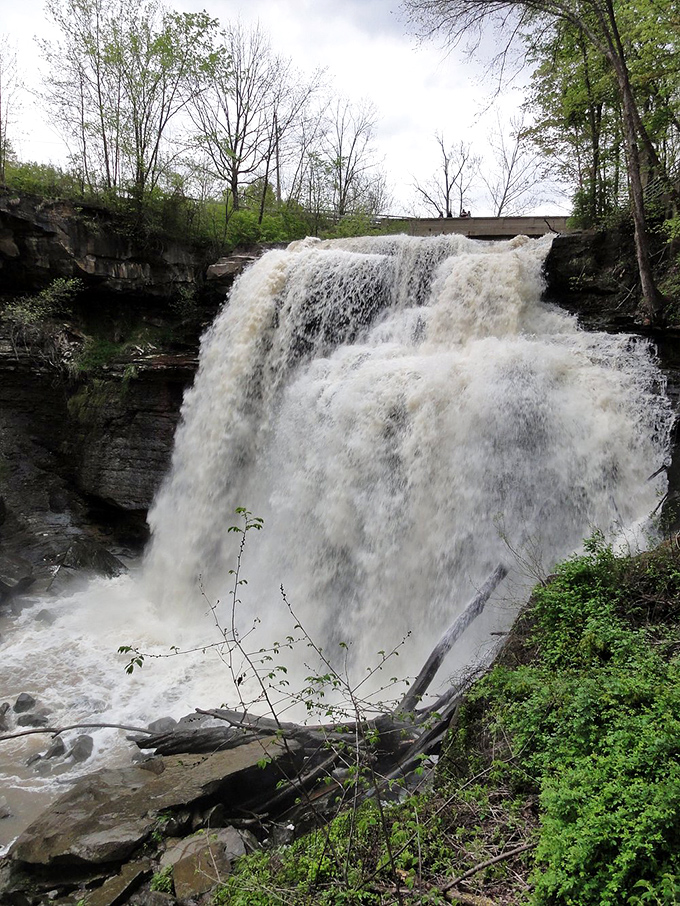 Hold onto your hats! Spring melt turns Brandywine Falls into nature's own log flume ride. Splash guards not included.