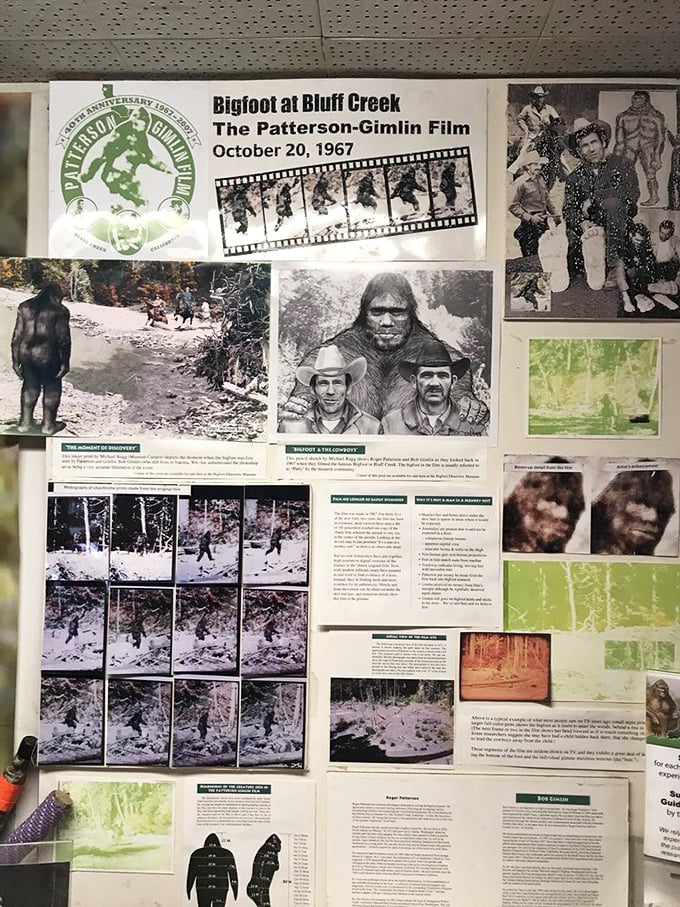 The Patterson-Gimlin film: Bigfoot's Hollywood debut or elaborate hoax? You be the judge in this cinematic cryptid conundrum.