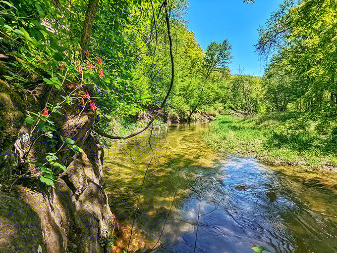 "Who needs a spa day when you've got this natural jacuzzi?" A babbling stream cuts through rocky terrain, offering nature's own version of hydrotherapy.