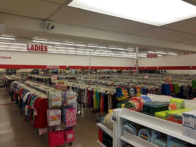 Marie Kondo's nightmare or an organizer's dream? These shelves are a colorful testament to the art of orderly chaos.