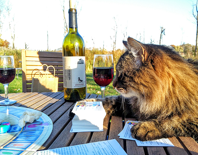Feline fine! This sophisticated cat knows the art of wine appreciation. Who says you can't teach an old cat new tricks?