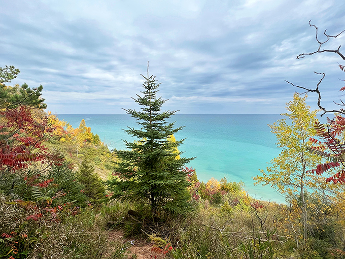 Mother Nature's masterpiece on full display. This view is like a Bob Ross painting come to life &ndash; happy little trees included.