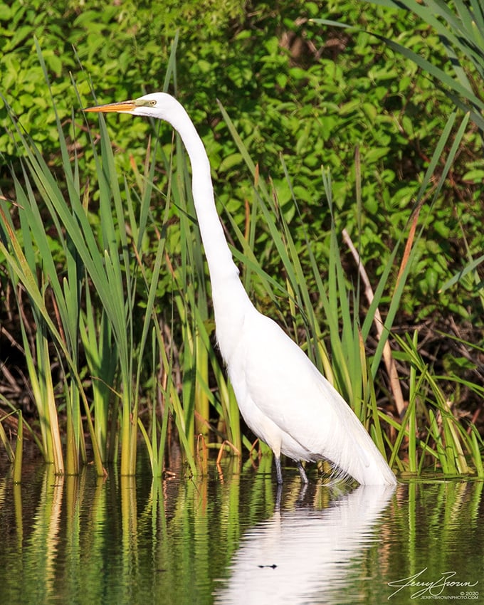 Winter's frosty fingers have painted quite a scene. It's like walking through Narnia, minus the talking animals (we think).