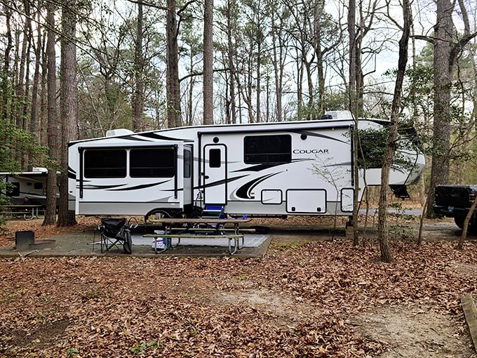Glamping goals: Who says roughing it can't be stylish? Martinak's RV spots offer all the comforts of home, with nature as your backyard.