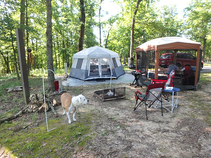 Glamping, caveman-style: Who says you can't rough it in comfort? Our ancestors would be jealous of this setup.