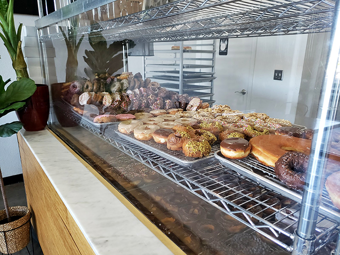 A glass case of emotion... and donuts! This display is like a treasure chest for your sweet tooth. X marks the spot!