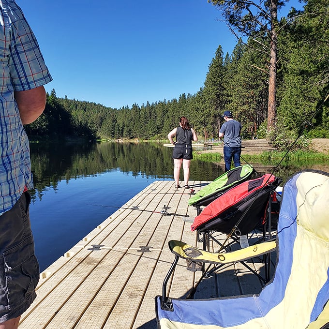 Fish fear this dock! It's not just a plank; it's a stage for anglers to perform their catch-and-release ballet.