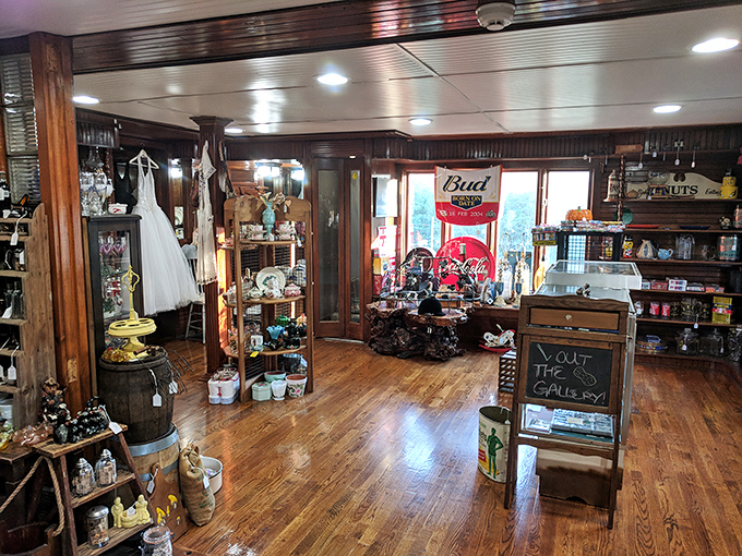 Welcome to the Narnia of nostalgia! This room is where memories come to retire and occasionally get dusted off.