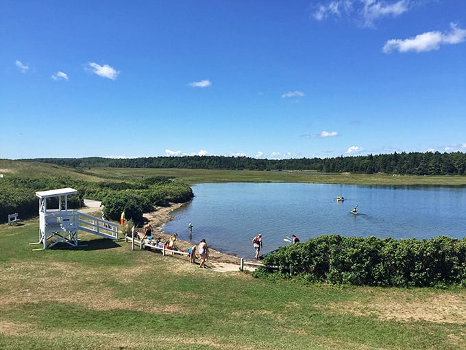 Paddle your way to peace in this liquid mirror. It's like kayaking on the sky, minus the risk of falling into the clouds.