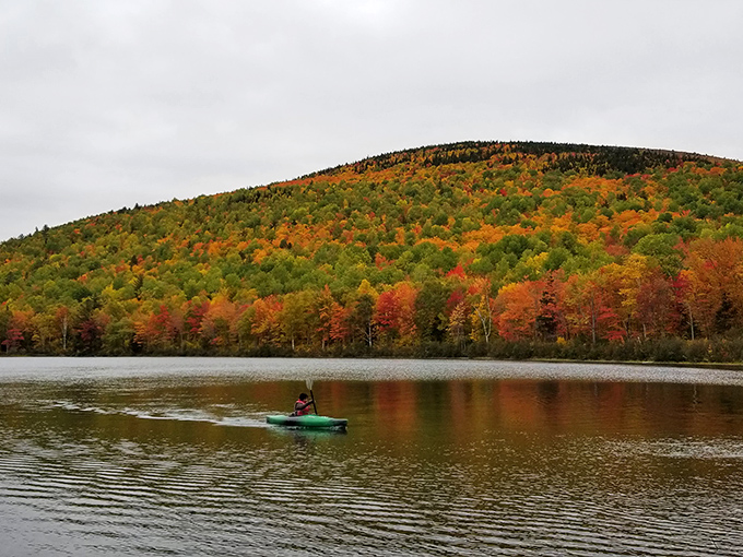 Leaf peeping, upgraded: Trade your car for a kayak and glide through autumn's explosion of color on mirror-like waters.