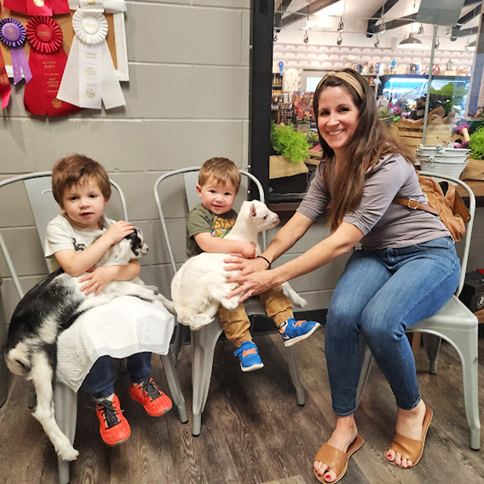 Goat meet and greet in progress! These little ones are getting a crash course in farm life and stealing hearts along the way.