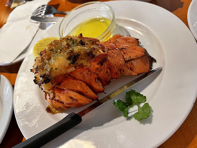 Lobster tail so good, it'll make you consider growing gills. Who needs a mermaid when you've got seafood this divine?