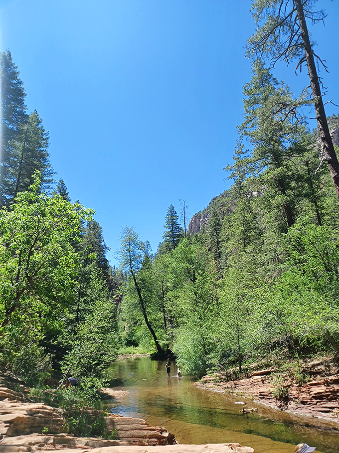 Fifty shades of green! This lush oasis in the desert is like finding a salad bar in the middle of a steakhouse.