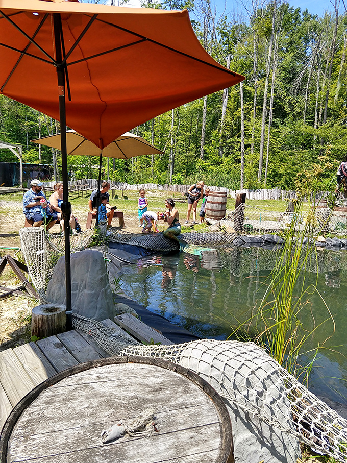 Mermaids in Ohio? Well, I've heard of catfish, but this takes it to a whole new level!