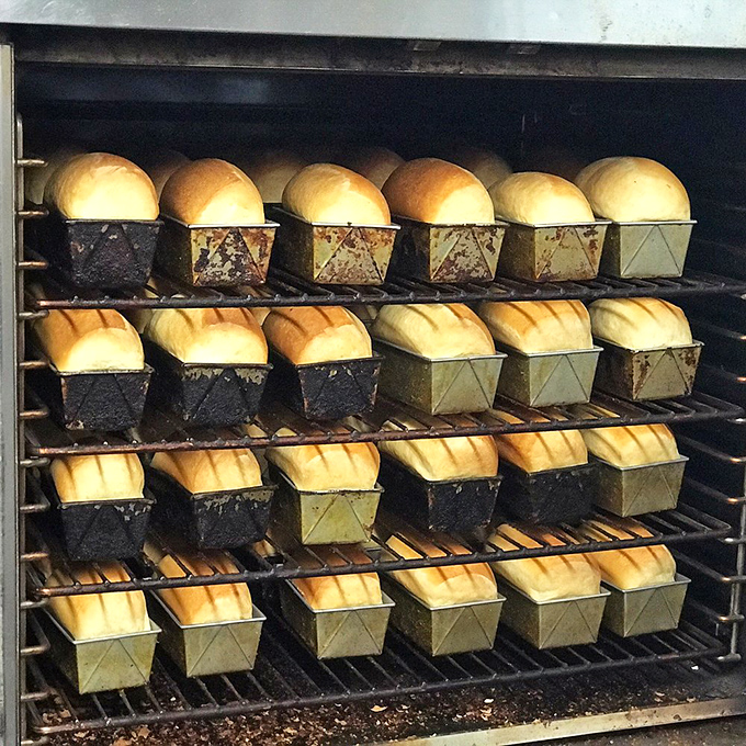 "Bread heaven alert! These loaves are rising to fame faster than a pop star, and they're twice as hot."