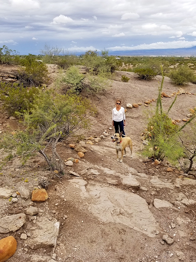 Who let the dogs out? Roper Lake did! Four-legged friends are welcome to join the adventure. Squirrel chasing optional.