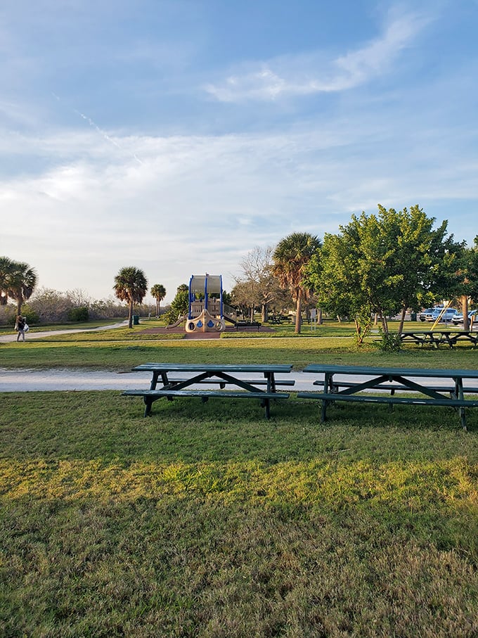 Picnic tables with a view. Here, even your sandwich gets FOMO if you don't take it out to enjoy the scenery.