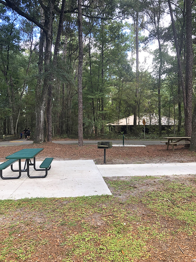 Picnic paradise or Bigfoot's dining room? Either way, these tables are perfect for a post-adventure snack break.