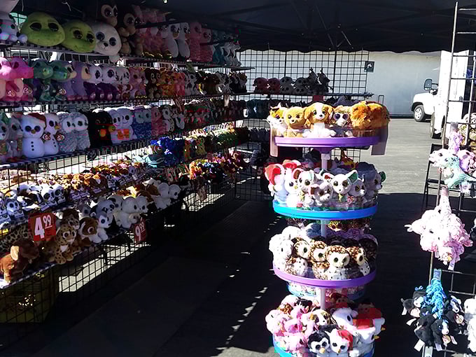 Plush pals as far as the eye can see! It's like a teddy bear convention crashed a rainbow party.