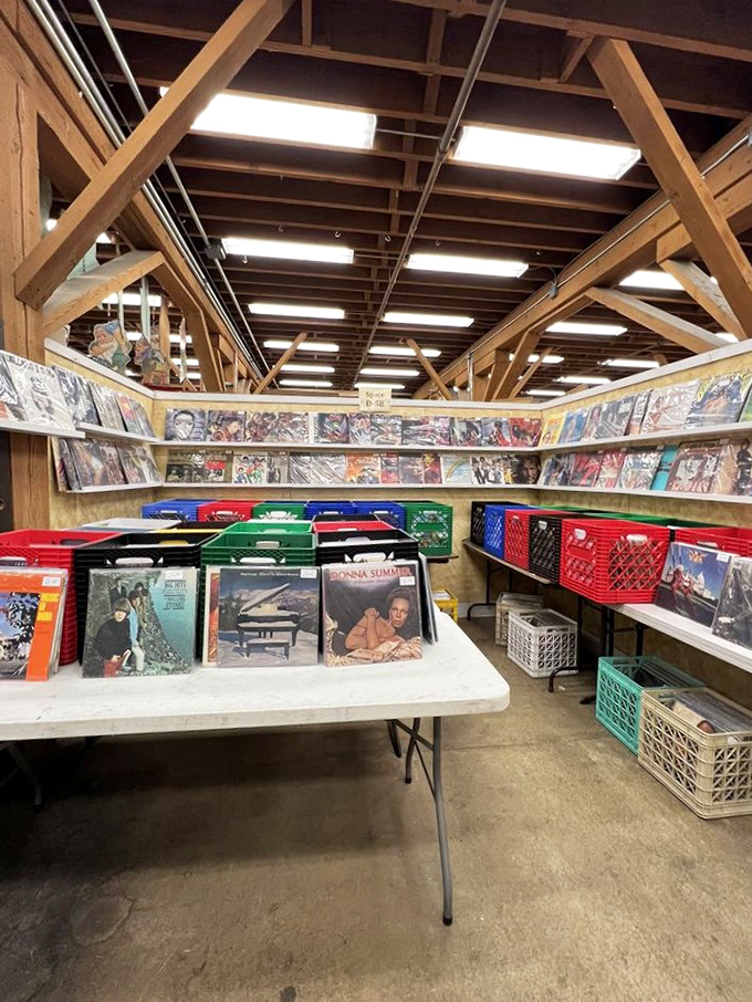 Vinyl enthusiasts, rejoice! This corner is where forgotten melodies come to play, waiting for the right needle to bring them back to life.