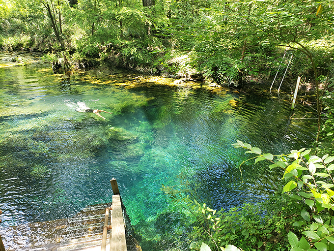 Take a dip in nature's own jacuzzi. It's like swimming in liquid sapphire &ndash; without the hefty price tag!