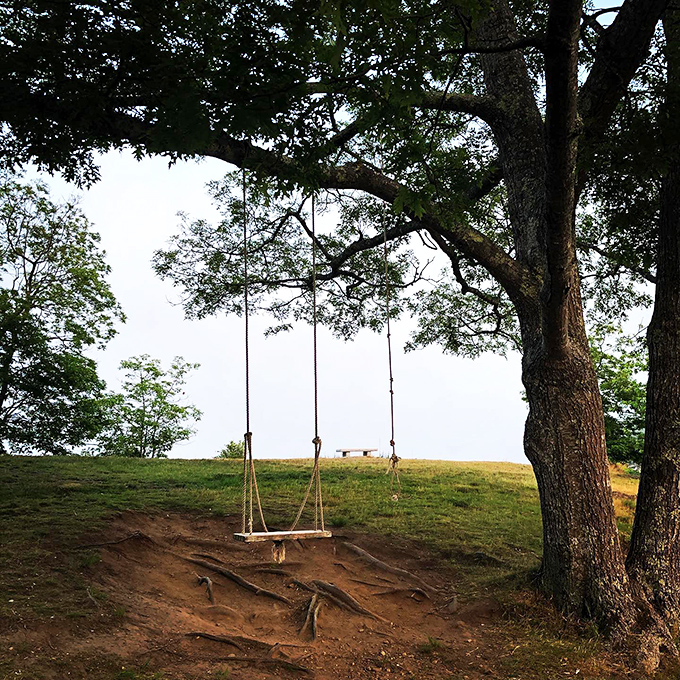 Childhood dreams, adult-sized: This swing set invites you to channel your inner kid. No judgment if you yell "Higher, higher!"