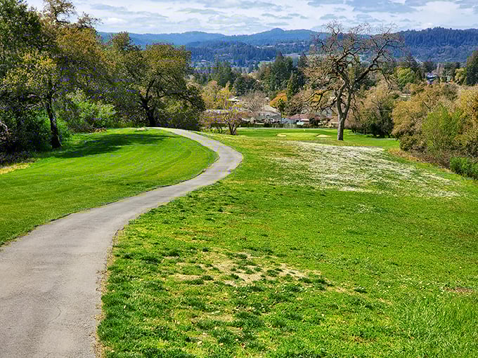 Tayman Park: A winding path through emerald fields - it's like the Yellow Brick Road, but instead of Oz, you'll find world-class wineries at the end.