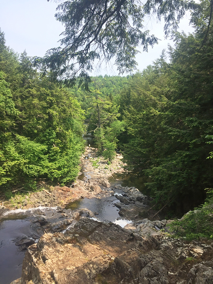 Bird's eye view or squirrel's eye view? Either way, this top-down look at the falls and surrounding forest is breathtaking.