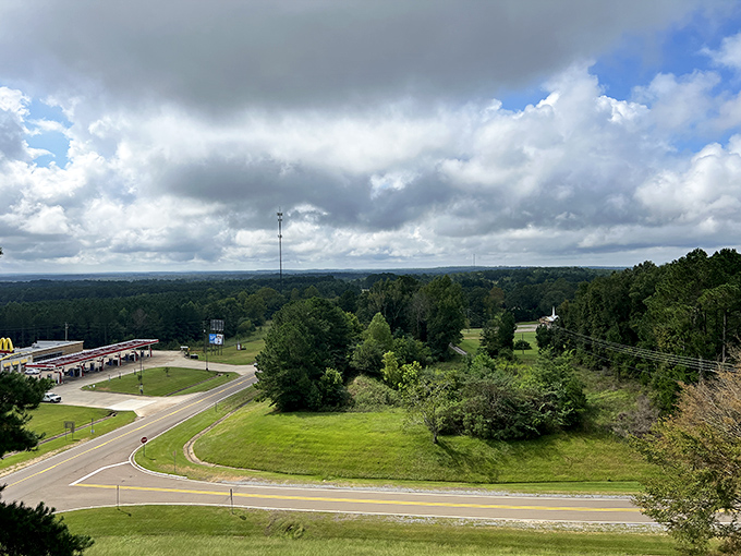 A bird's-eye view that'll ruffle your feathers! This panorama is Mother Nature's way of showing off her best side.