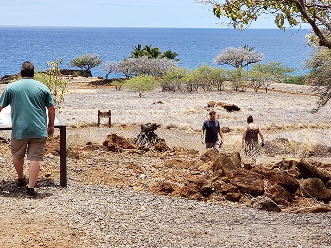 Explorers in their natural habitat: Watch as they navigate the treacherous terrain of... a well-maintained path. Such bravery!