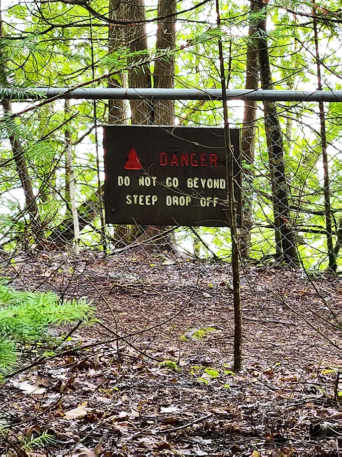 Nature's way of saying "Look, but don't leap!" A friendly reminder that some views are best enjoyed from solid ground.