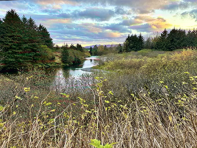 Wild bouquet: Nature's flower arrangement that puts your local florist to shame. No green thumb required!