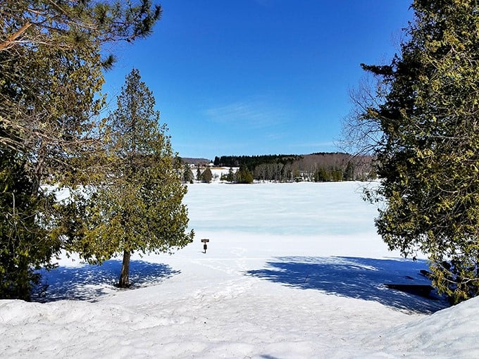 Winter wonderland or set of "Frozen 3"? Either way, it's a scene that'll melt your heart.