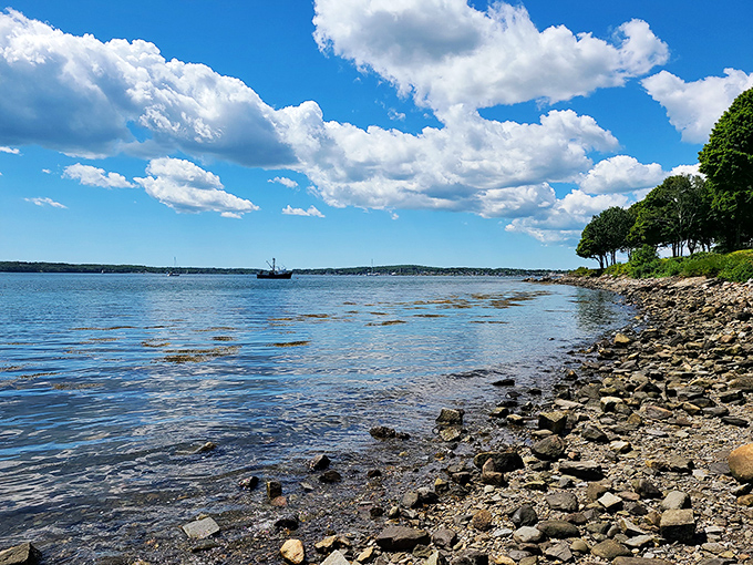 Beach, please! This rocky shoreline is serving up a slice of Maine realness, with a side of "watch your step."