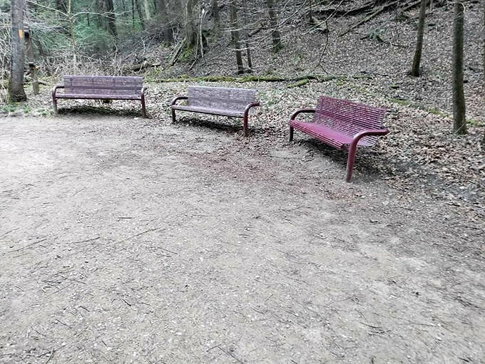 Take a load off on nature's own living room set. These benches offer front-row seats to the greatest show on earth &ndash; the great outdoors!