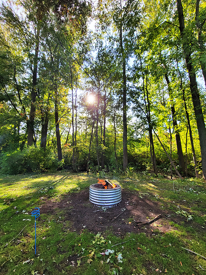 Campfire goals: achieved. This cozy setup is begging for ghost stories, marshmallow roasting, and debates about whether that sound was a wolf or your uncle snoring.
