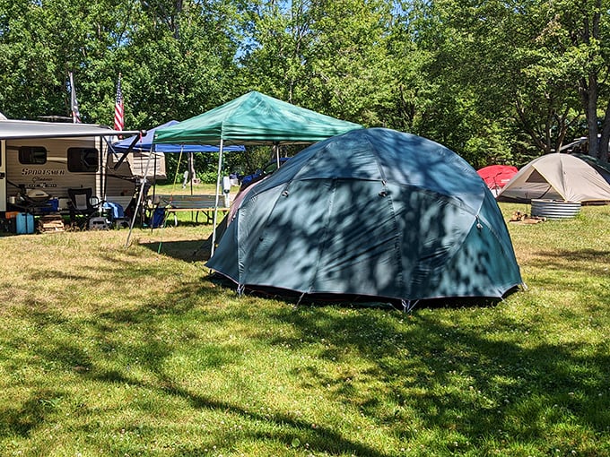 Camping goals: where your 'room with a view' comes with a side of stargazing and s'mores.