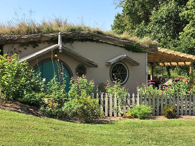 Hobbit house or hidden gem? This adorable cottage looks like it was plucked from a fairytale and planted in Makanda's garden of delights.