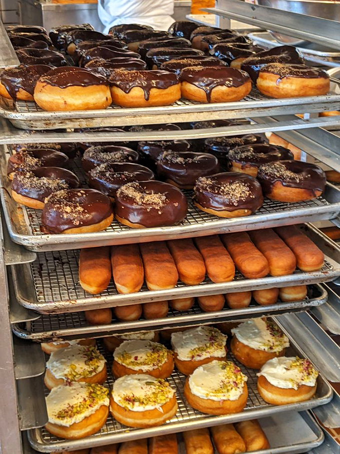 A display case that puts museum exhibits to shame. Each donut is a masterpiece, worthy of its own tiny pedestal.