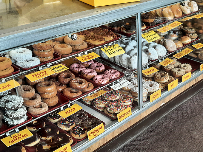 Donut dilemma! This display case is a kaleidoscope of flavors, each one vying for the title of your new favorite.